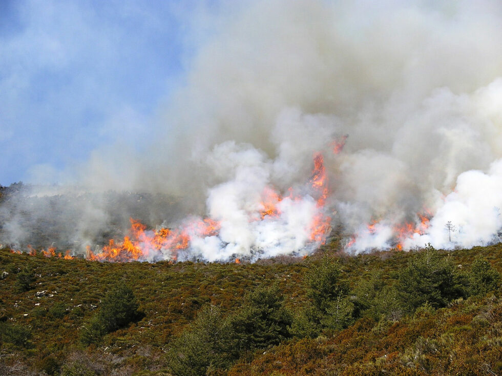 Evolution du risque d’incendie de forêt dans les dernières décennies et ...